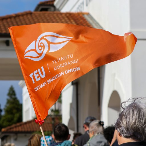 Massey policy changes would diminish the university | Tertiary ...